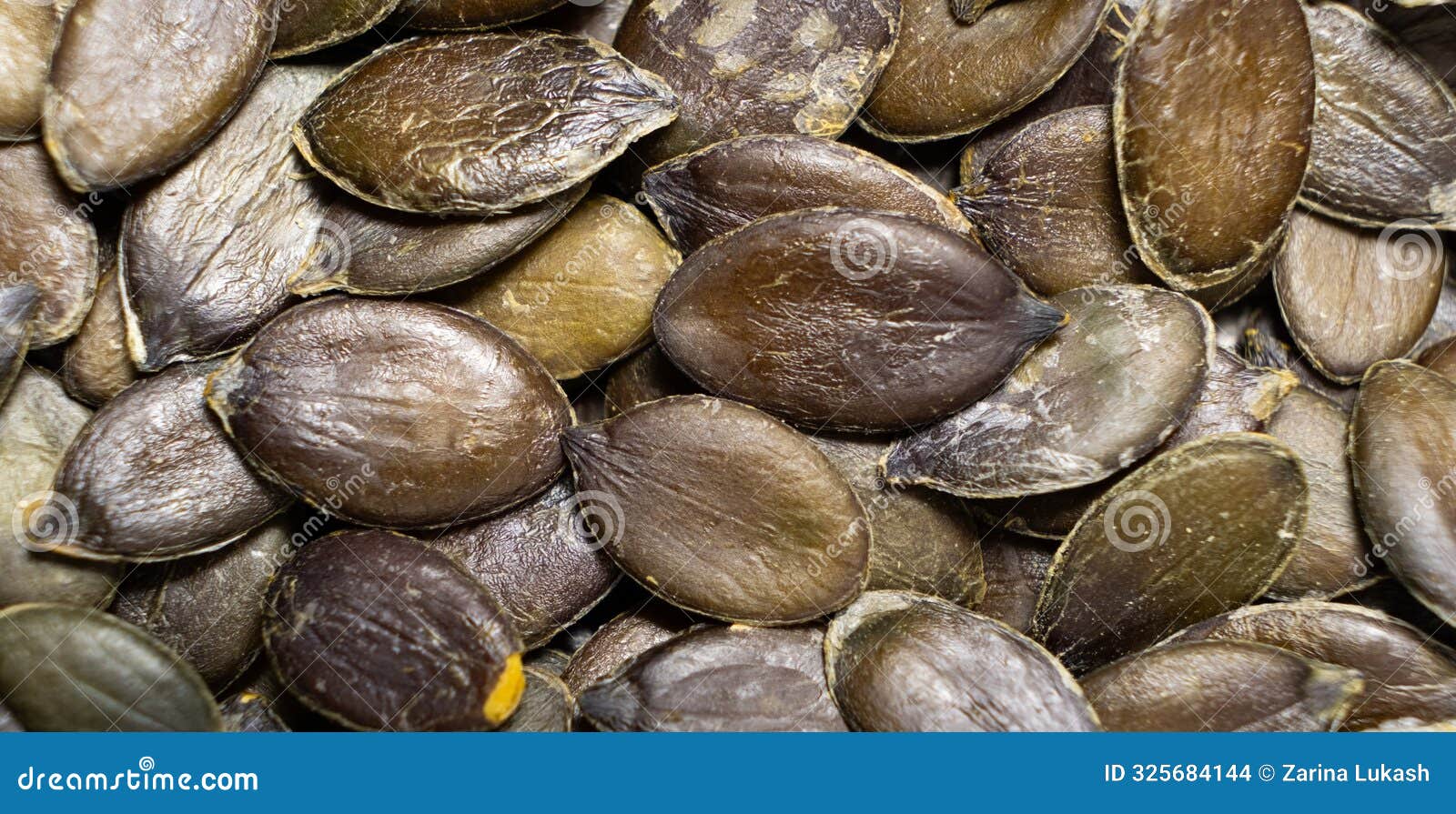 Top View of Macro Pumpkin Seed Kernel Banner. Stock Photo - Image of ...