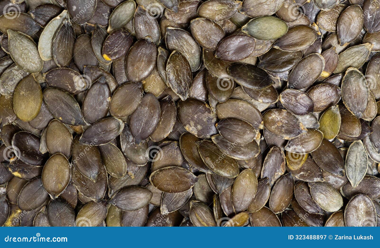 Top View of Macro Pumpkin Seed Kernels Stock Image - Image of seeds ...