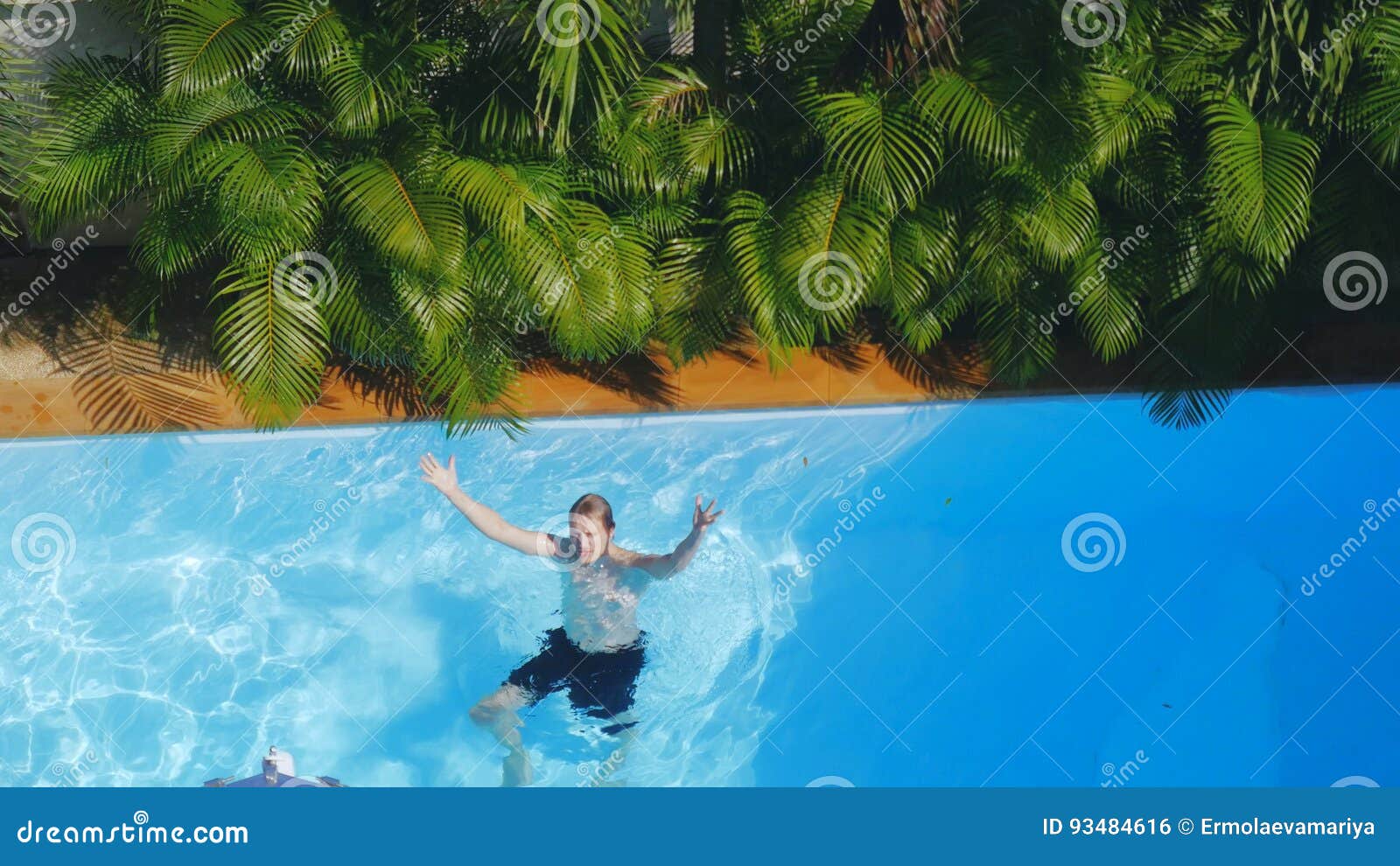 Top of View of Man Swimming in Outdoor Pool Stock Photo - Image of ...