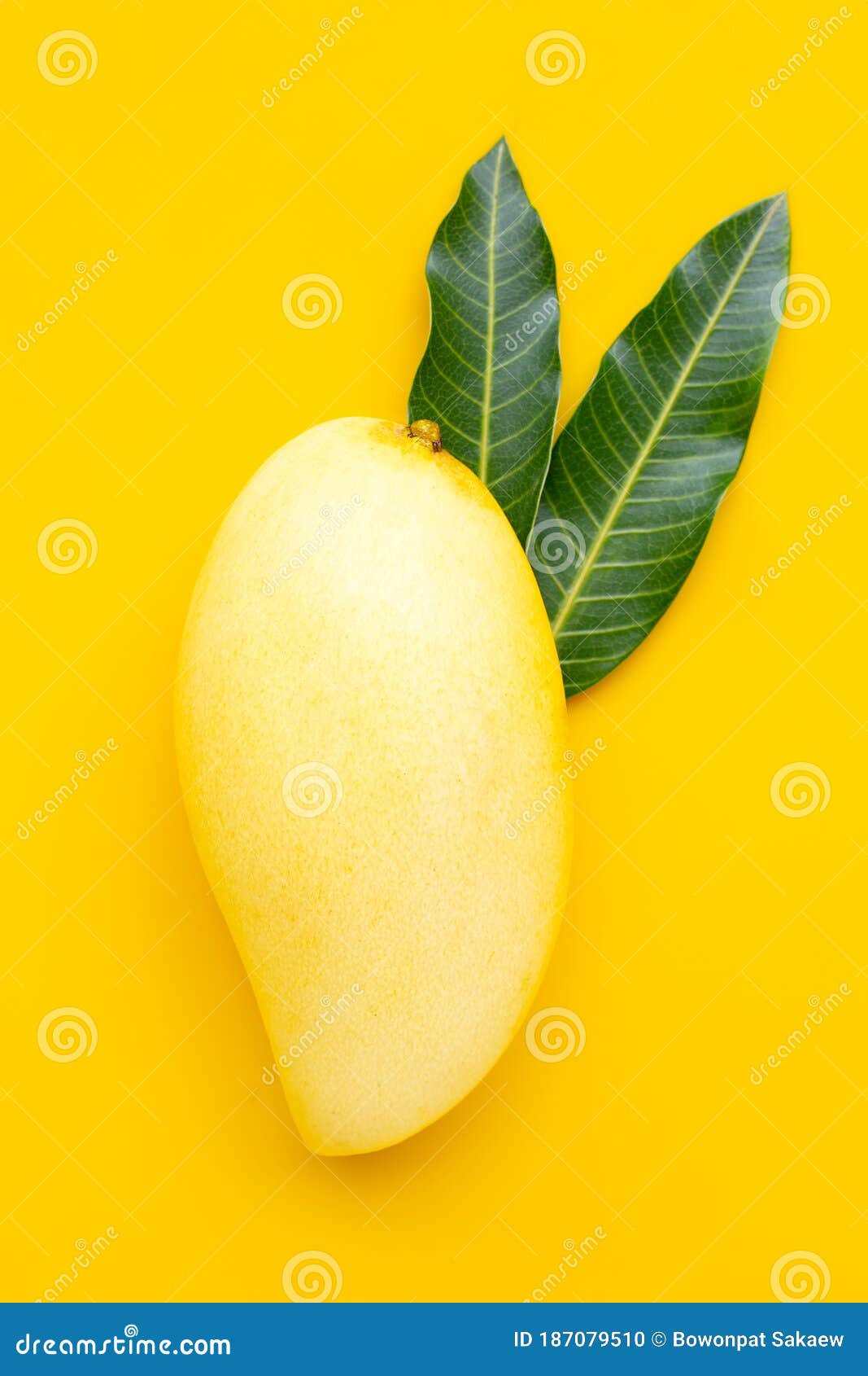 Top View of Mango with Leaves on Yellow Background Stock Photo - Image ...