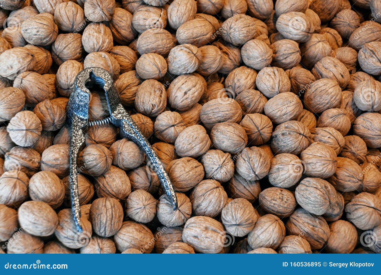Top View of Many Inshell Walnuts Stock Image - Image of calorie ...