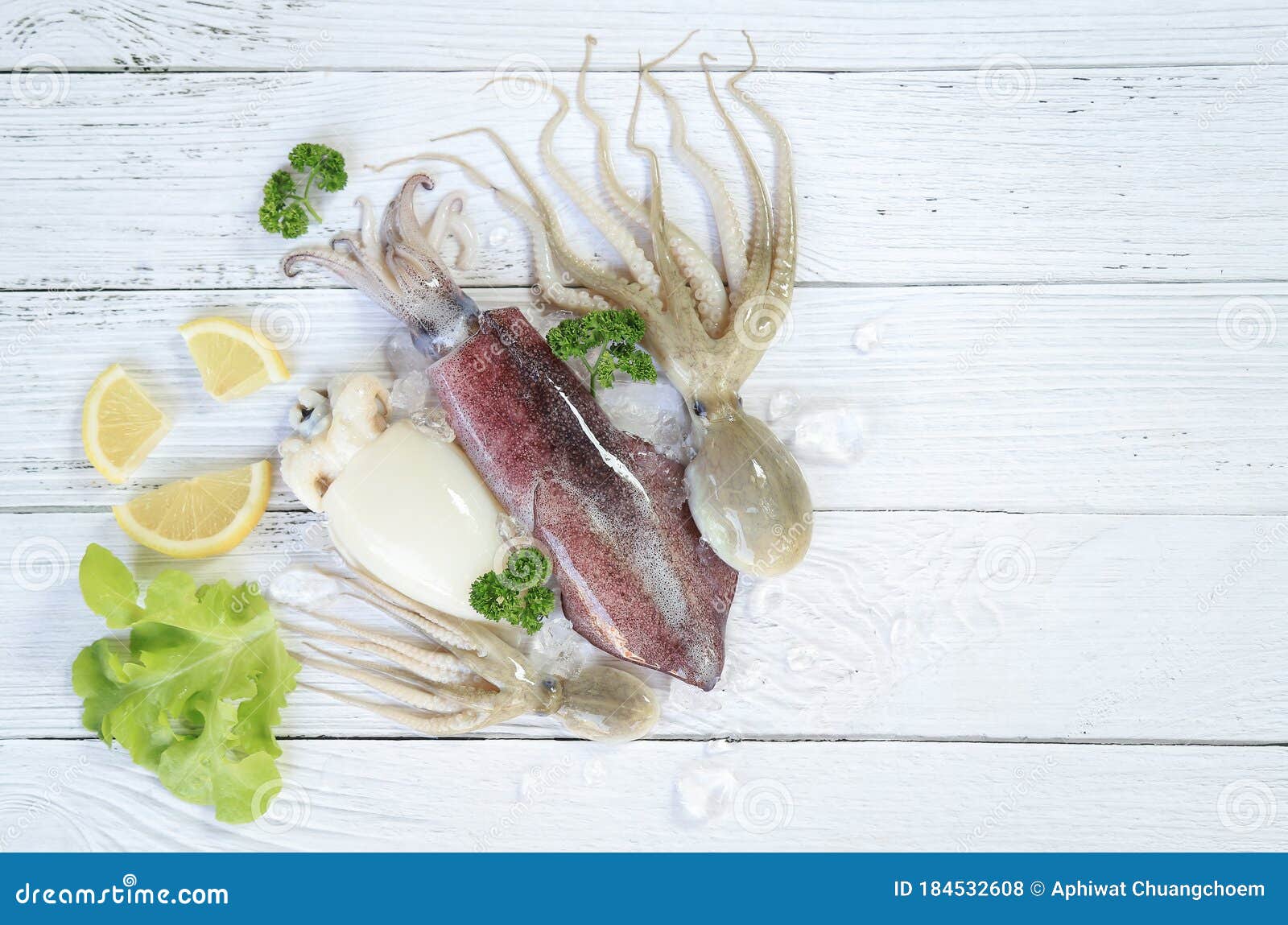 Top View of Many Kinds of Squid on Table Stock Photo - Image of ...