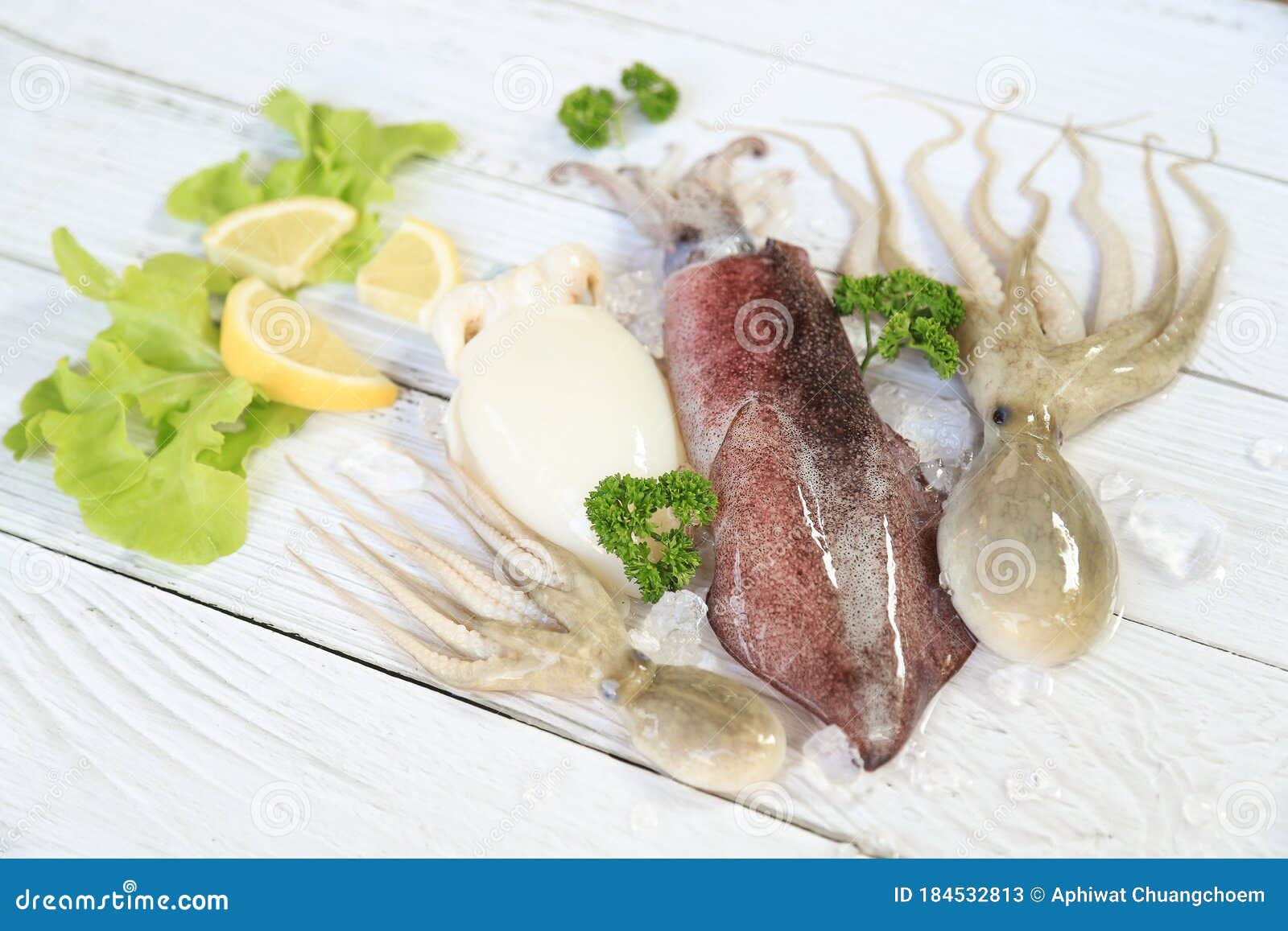 Top View of Many Kinds of Squid on Table Stock Image - Image of healthy ...