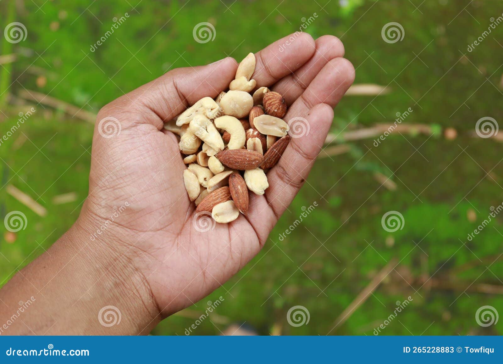 Top View of Many Mixed Nuts on Hand Stock Image - Image of nutrition ...