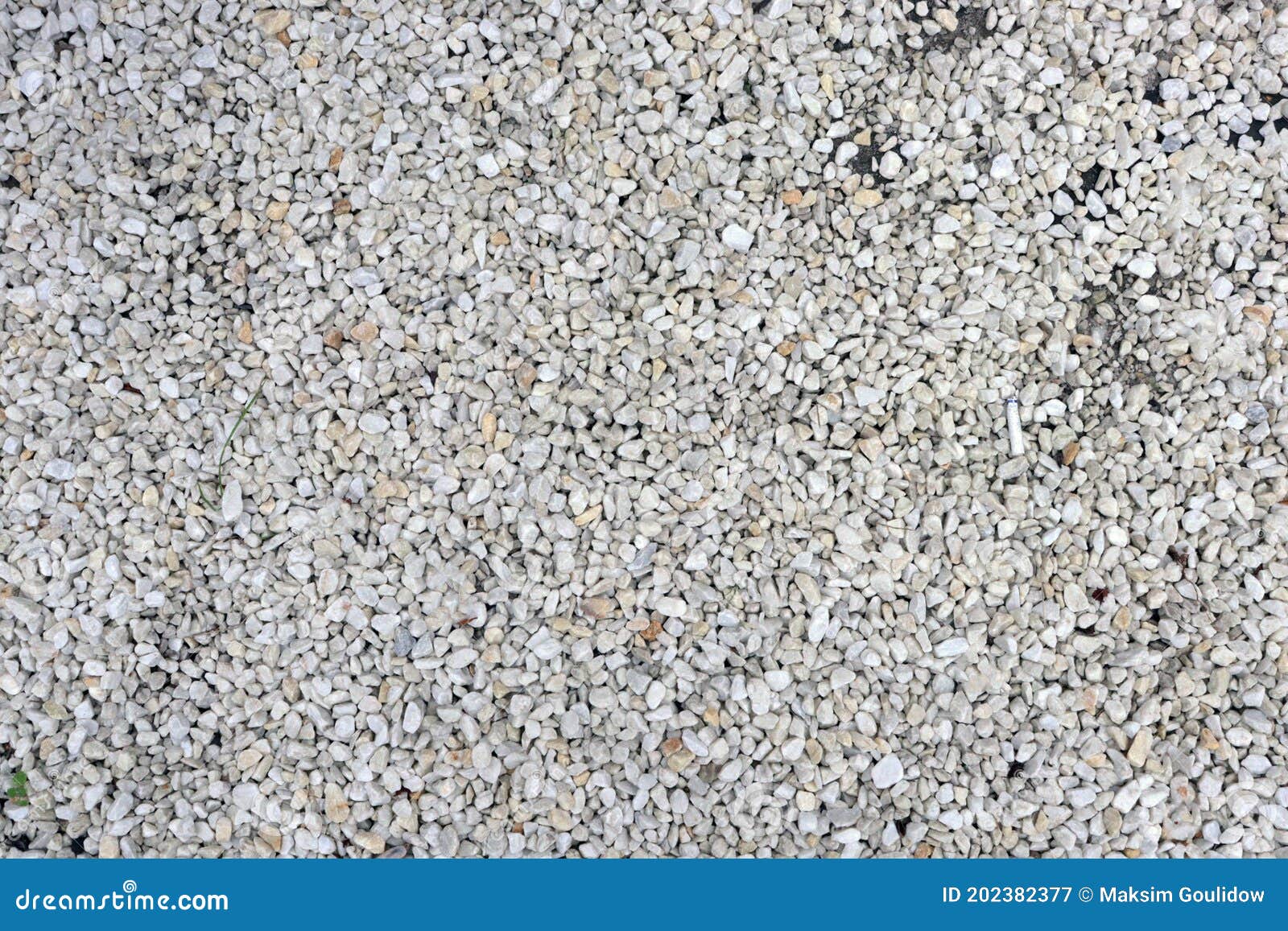 Top View of Many Small White Stones. Stone Background Stock Image ...