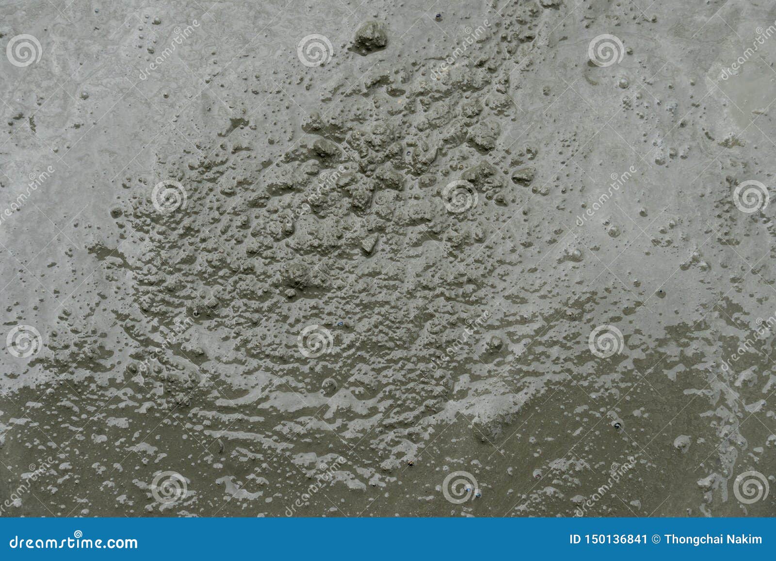 Top View of Mixed Cement Prepared for Use. Stock Image - Image of ...