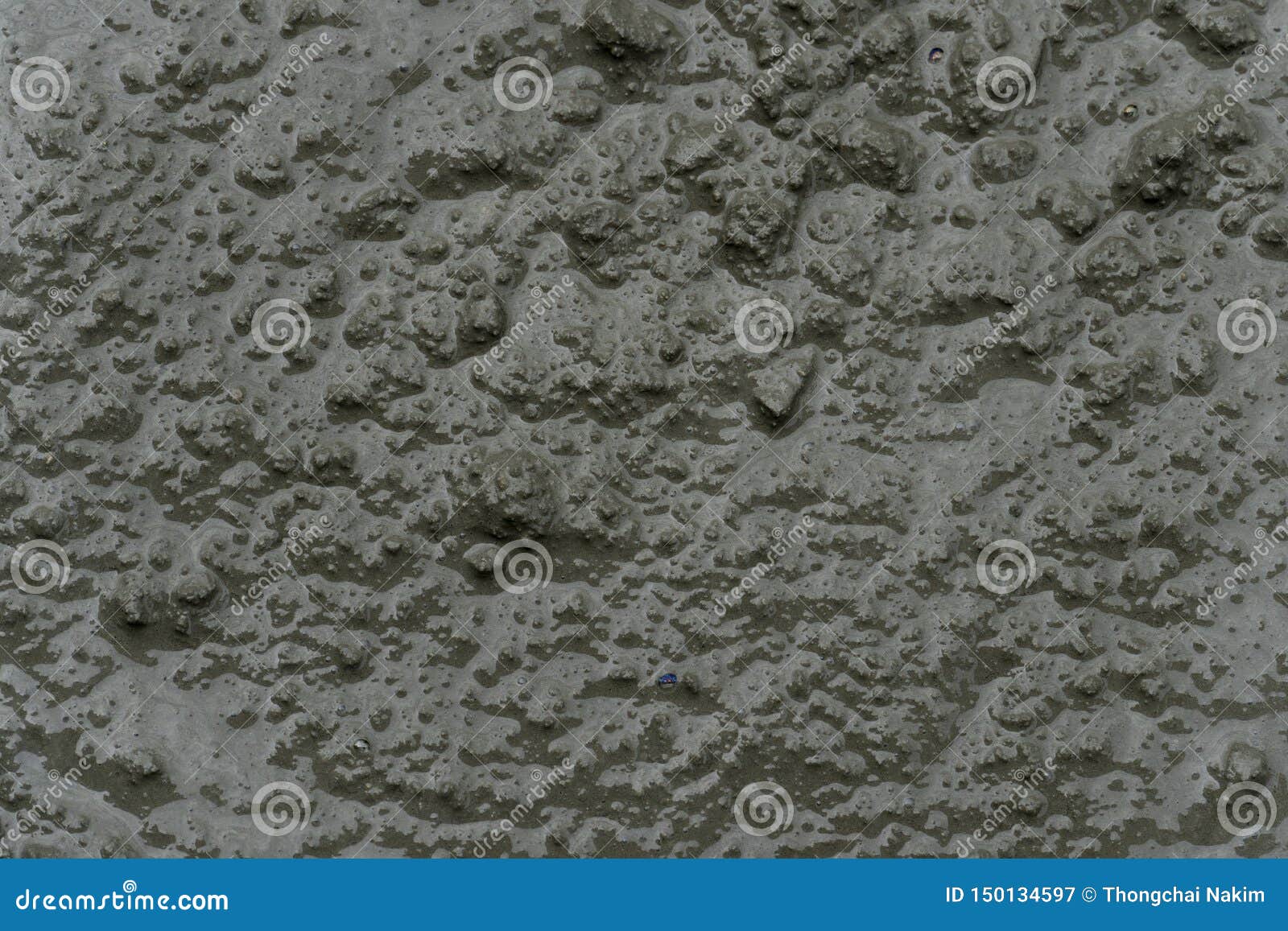 Top View of Mixed Cement Prepared for Use. Stock Image - Image of ...
