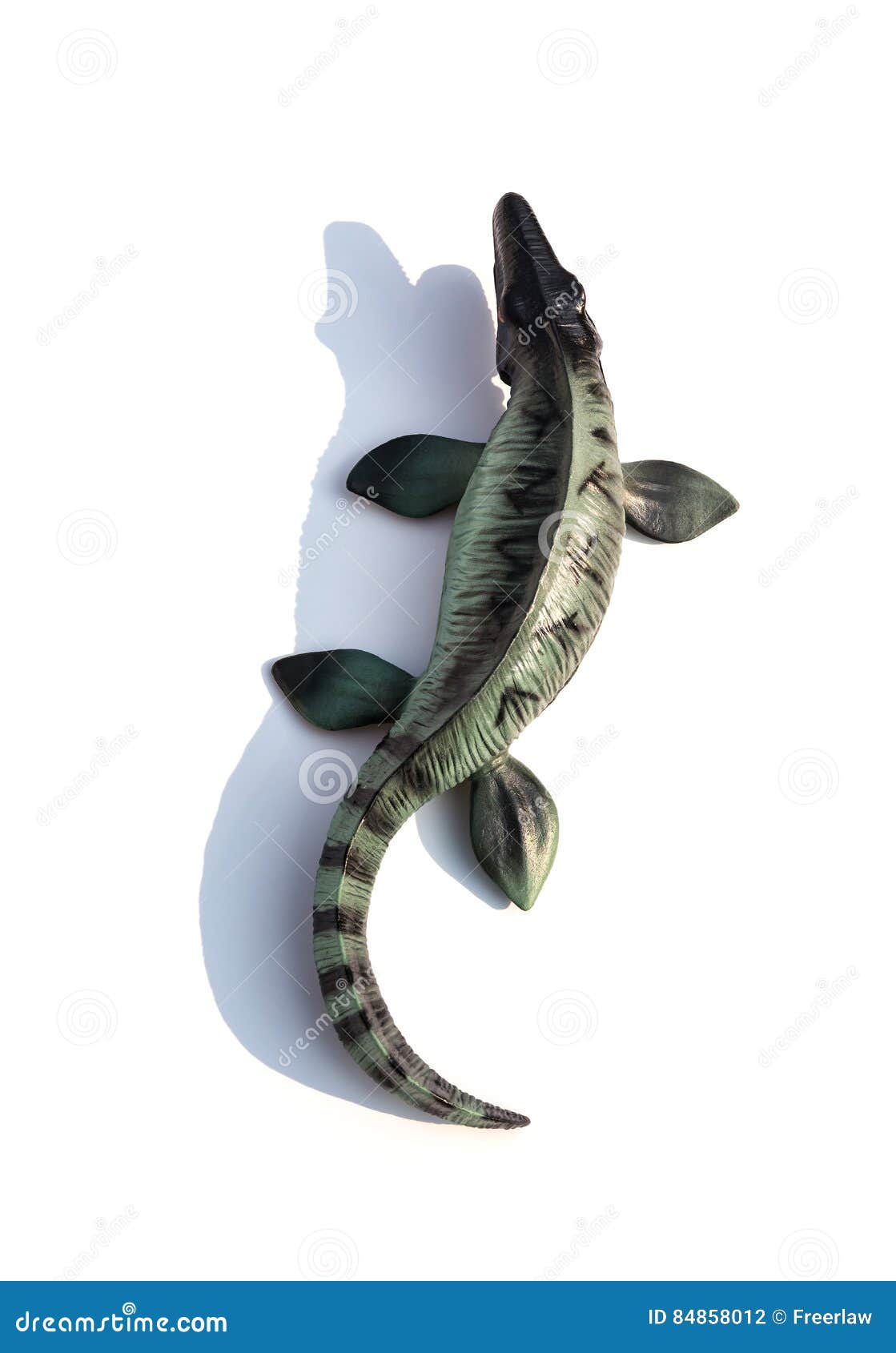 Top View Mosasaurus Toy with Shadow on White Stock Photo - Image of ...