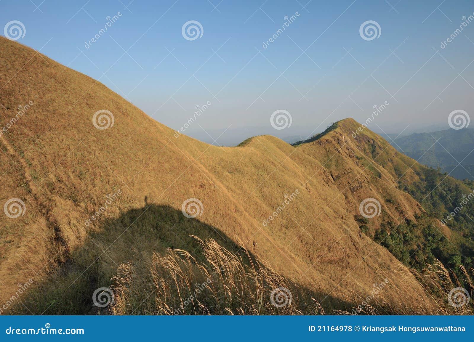 Top view of Mountain stock photo. Image of grass, natural - 21164978