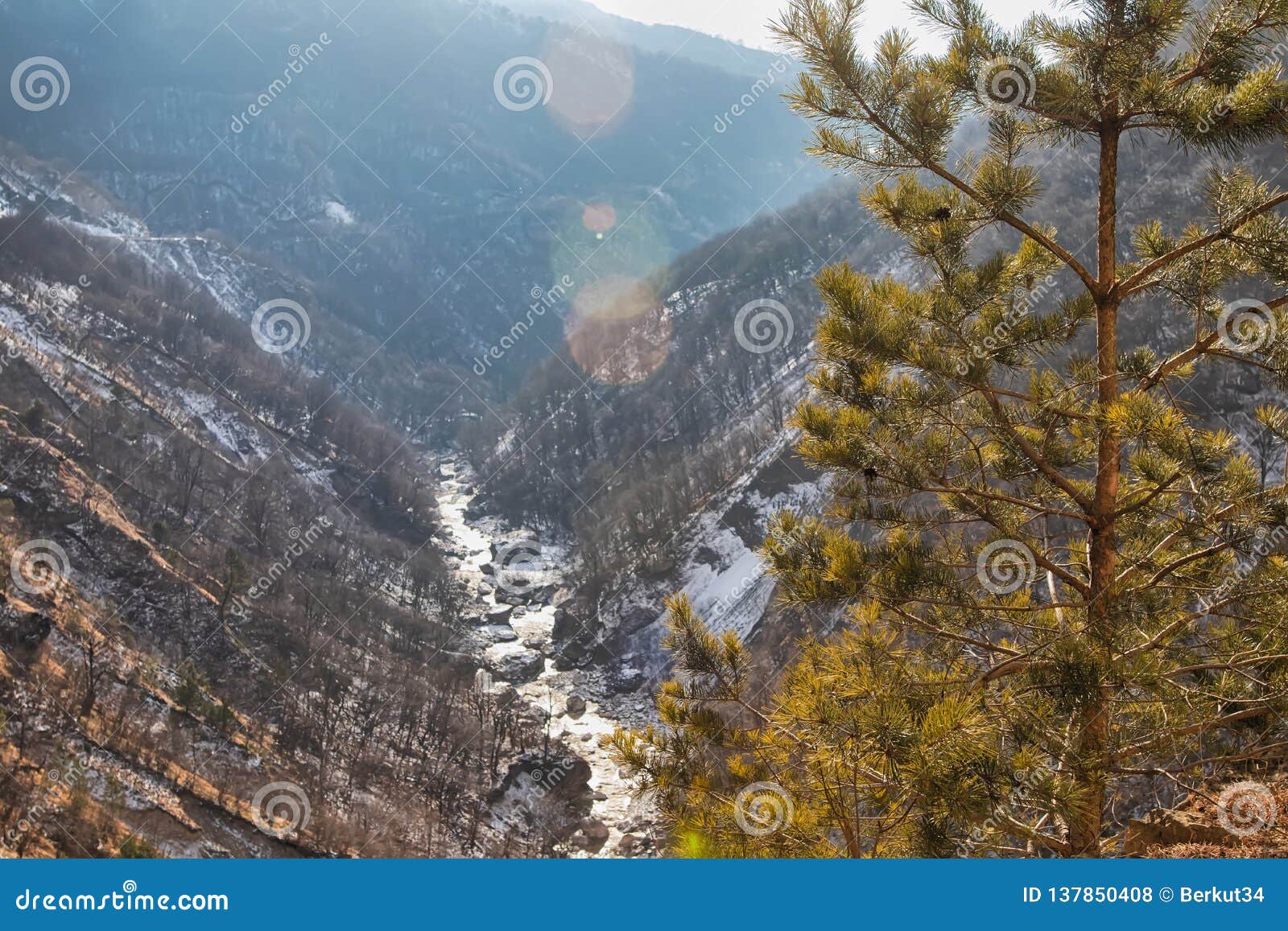 Top View of the Mountain Gorge on Which Flows a Mountain River Stock ...