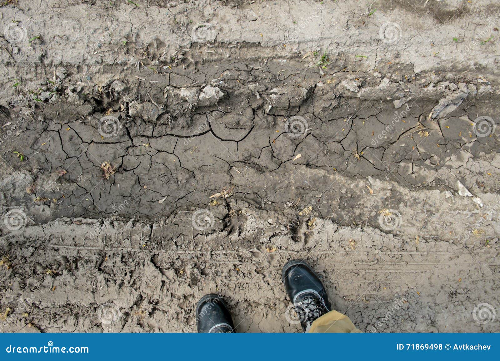 Top view on mud stock photo. Image of foot, extreme, footstep - 71869498