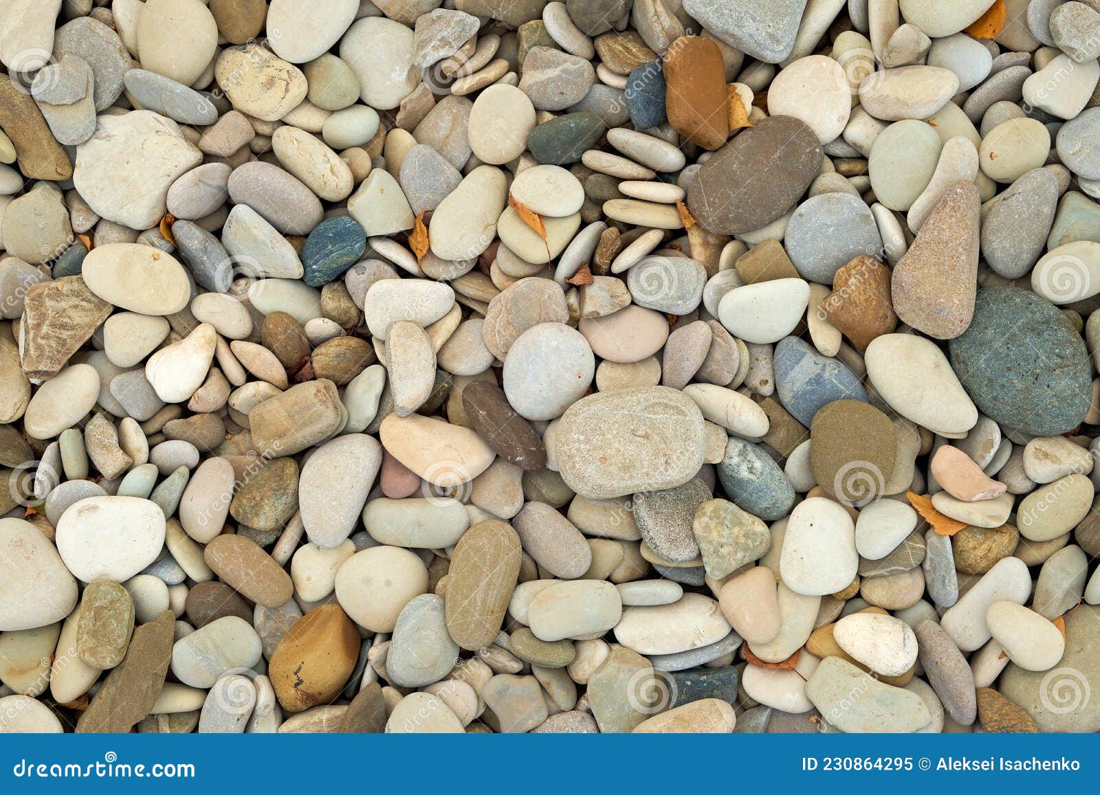 Top View on Multible Pebbles Stock Image - Image of coast, backdrop ...