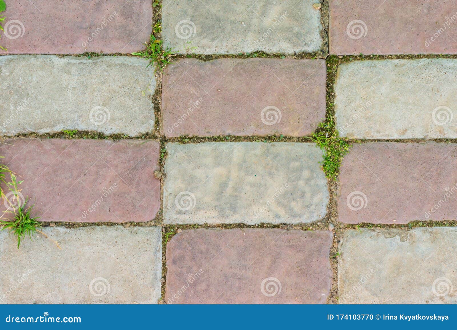 Top View of Multicoclored Garden Tile with Grass Stock Photo - Image of ...