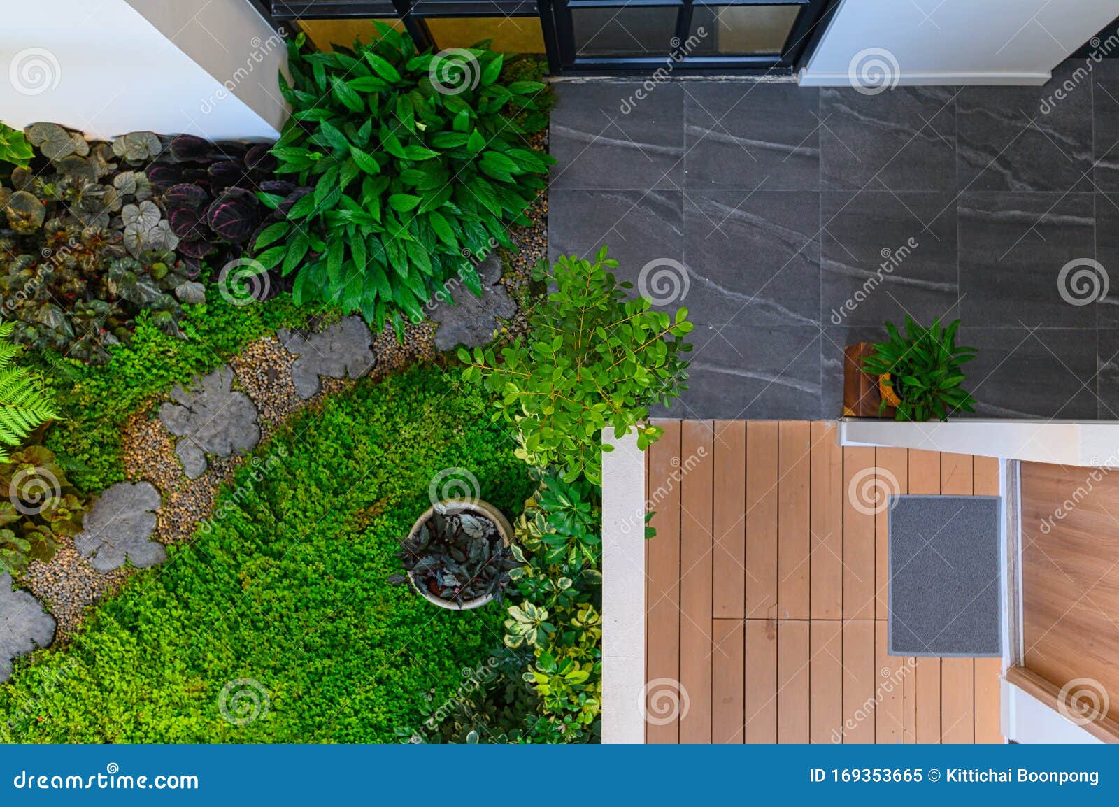 Top View Nature Indoors. Garden in an Office Stock Image - Image of ...
