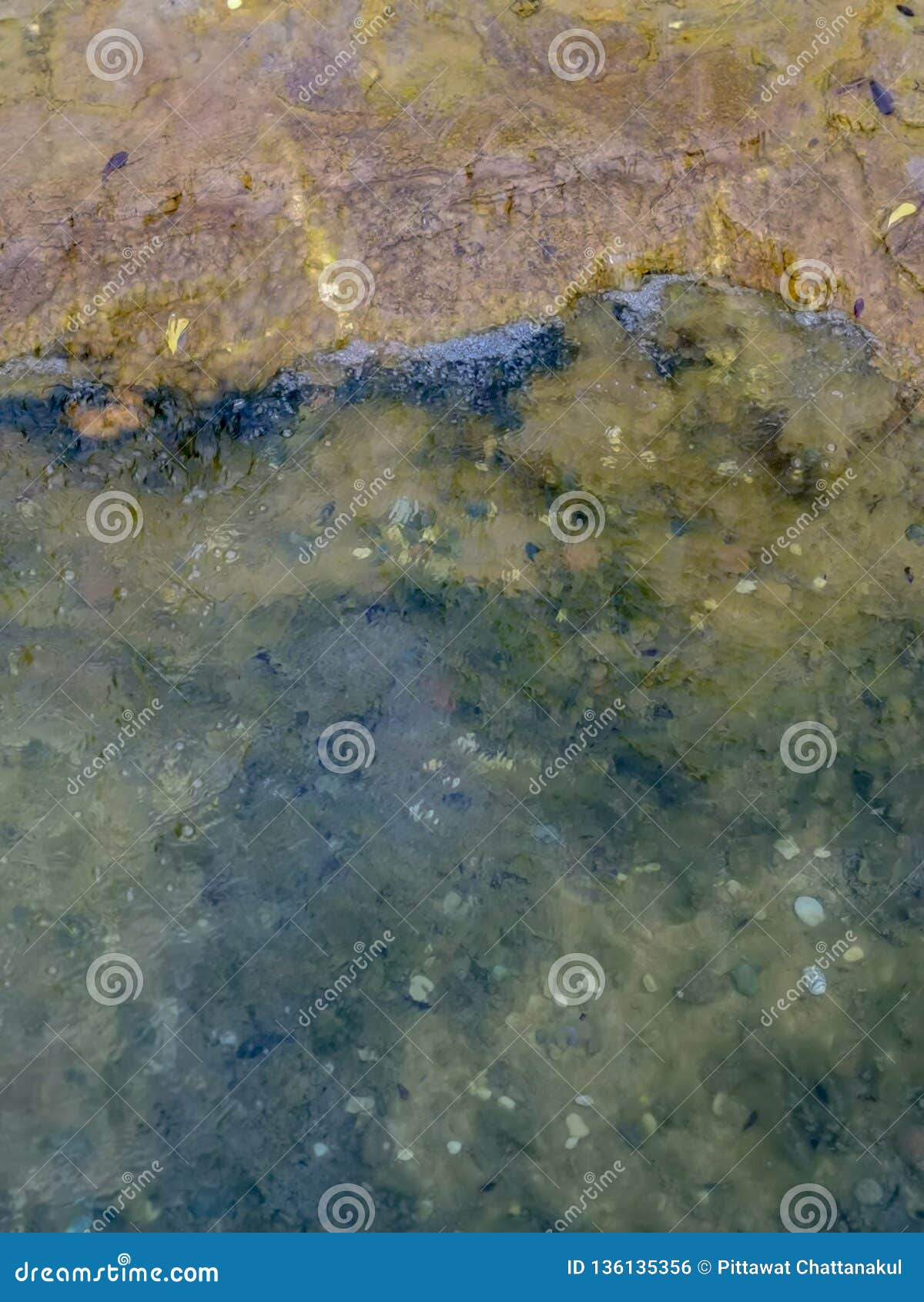 Top view of water flow. stock photo. Image of waterfall - 136135356