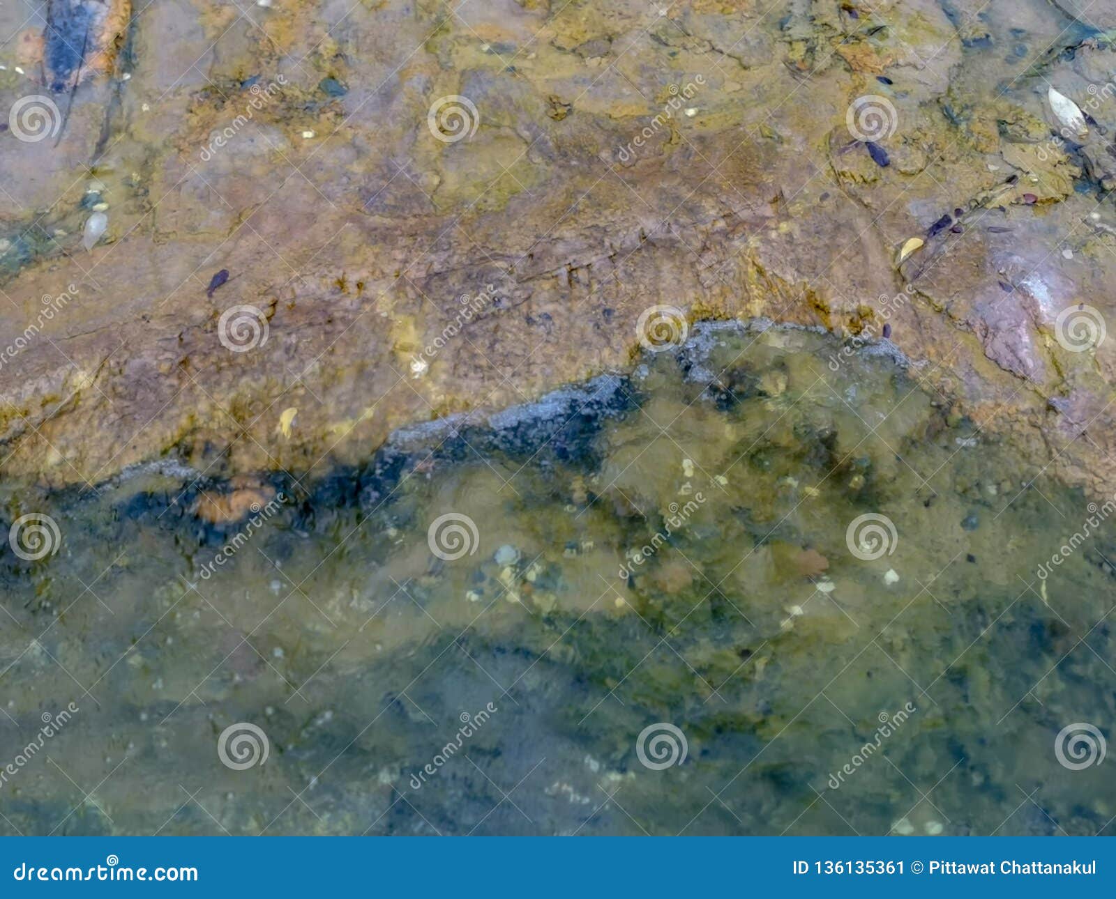 Top view of water flow. stock image. Image of wild, river - 136135361
