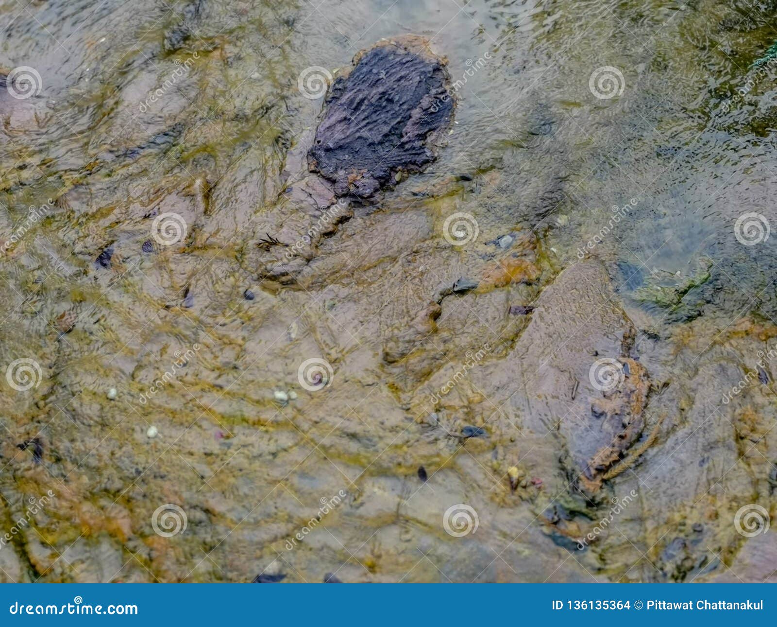 Top view of water flow. stock photo. Image of river - 136135364