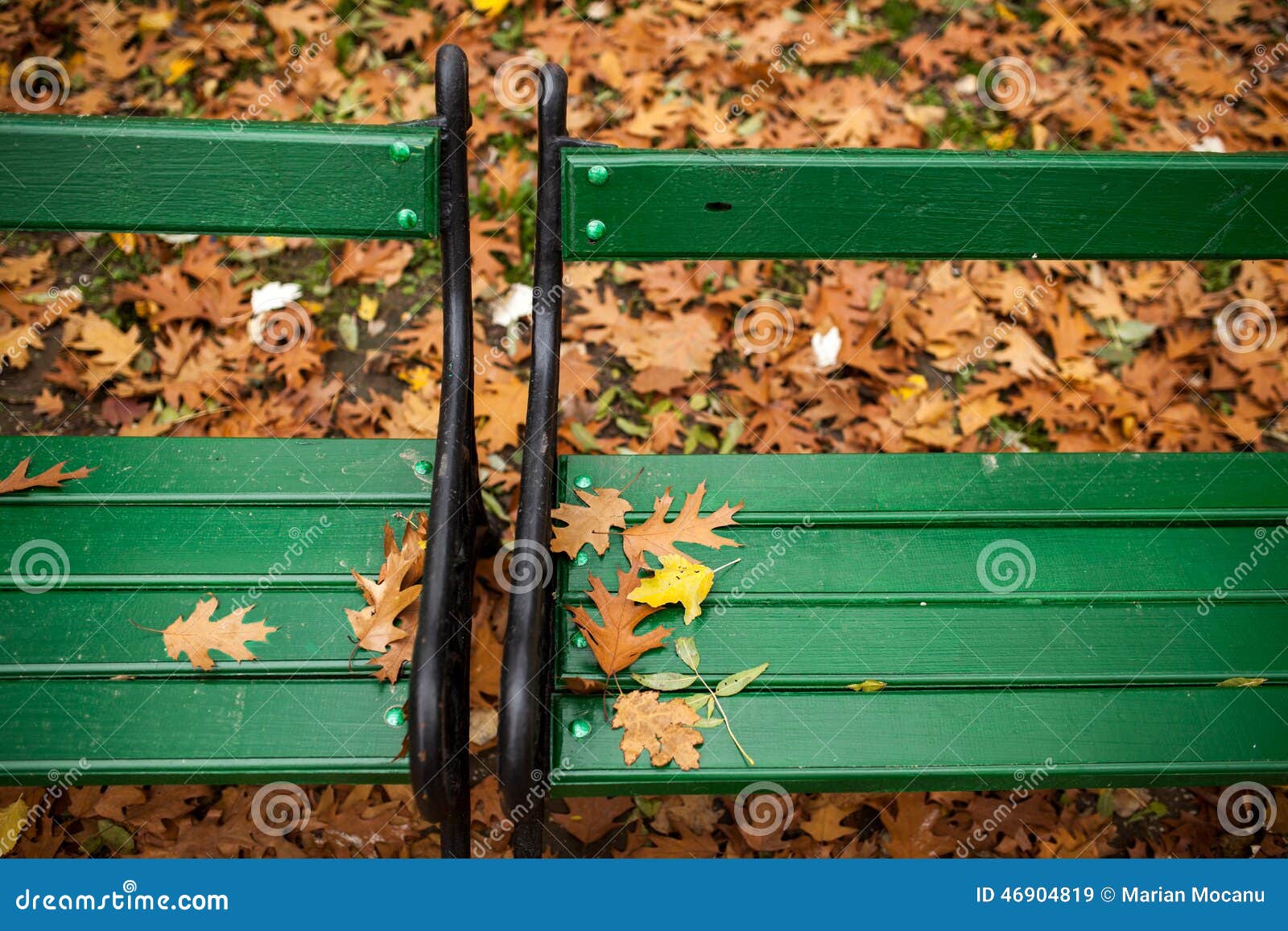 Top View of Oak Leaves on a Park Bench Stock Image - Image of autumnal ...