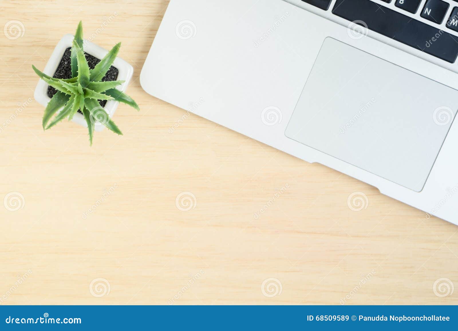 Top View of Office Desk with Laptop and Small Tree on Wood Table Stock ...