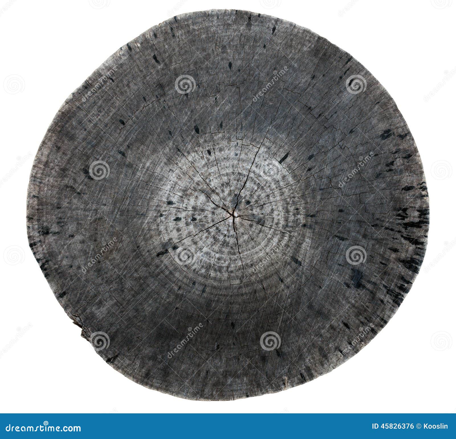 Top view of old tree stump stock photo. Image of lumber - 45826376