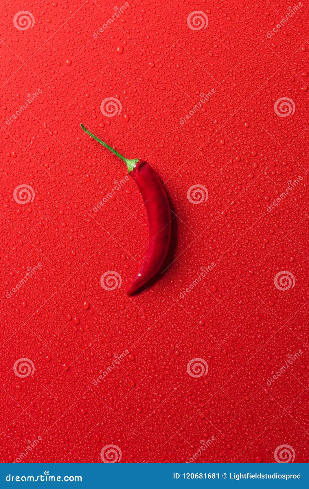 Top View of One Red Chili Pepper on Red Surface Stock Image - Image of ...