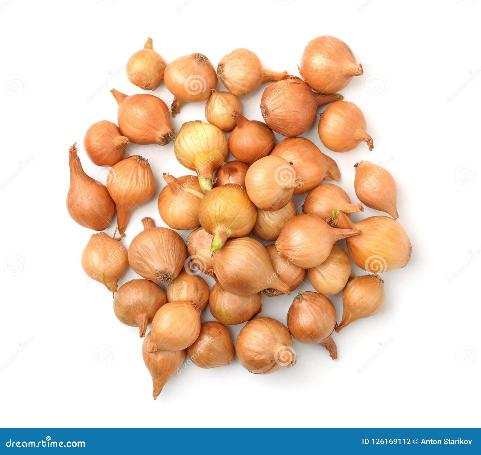 Top view of onion sets stock photo. Image of farming - 126169112