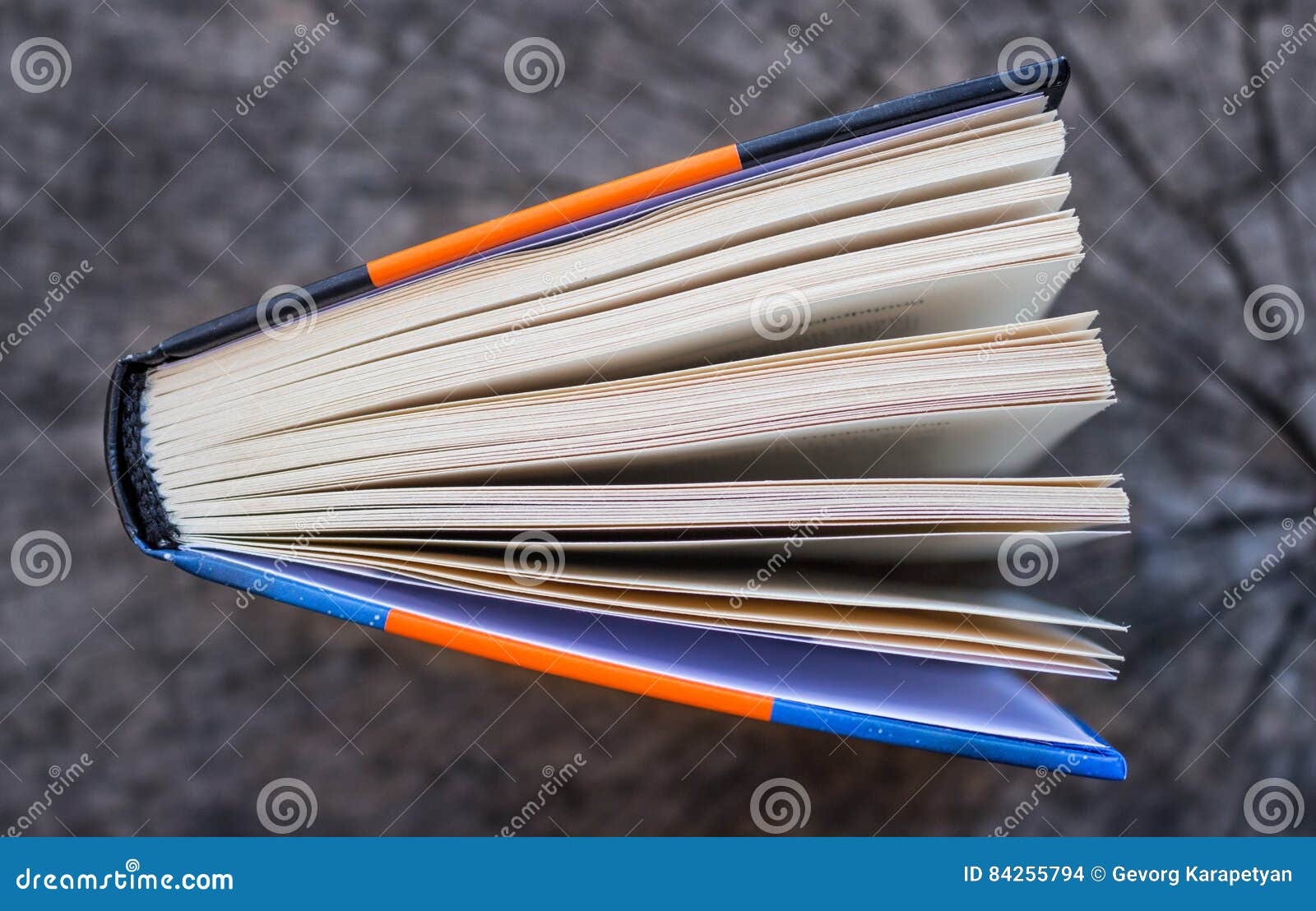 Top View of an Open Book on a Wooden Board Stock Photo - Image of book ...