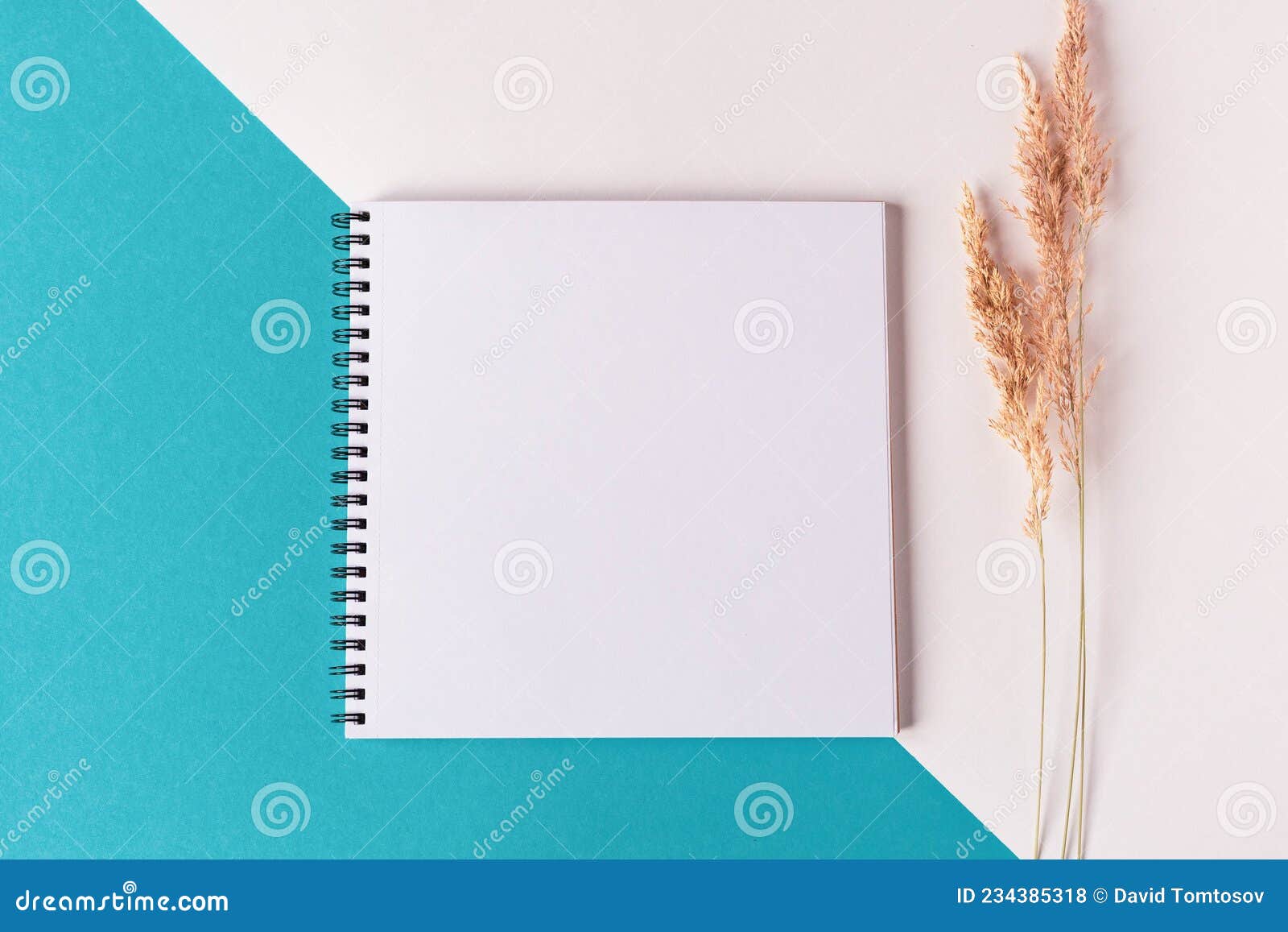 Top View of an Open Notebook with Blank Pages Stock Photo - Image of ...