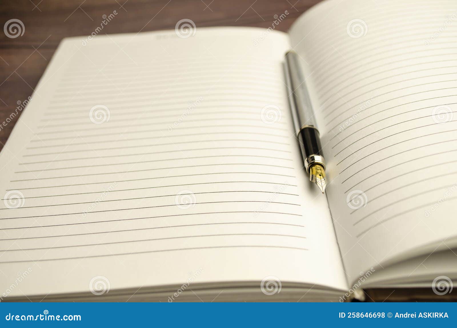 Top View of Open Notebook with Blank Pages and Pen Stock Photo - Image ...