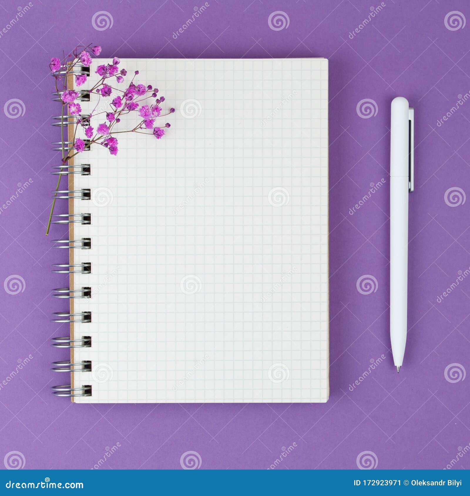 Top View Open Notebook, with Pen and Flowers. Stock Image - Image of ...