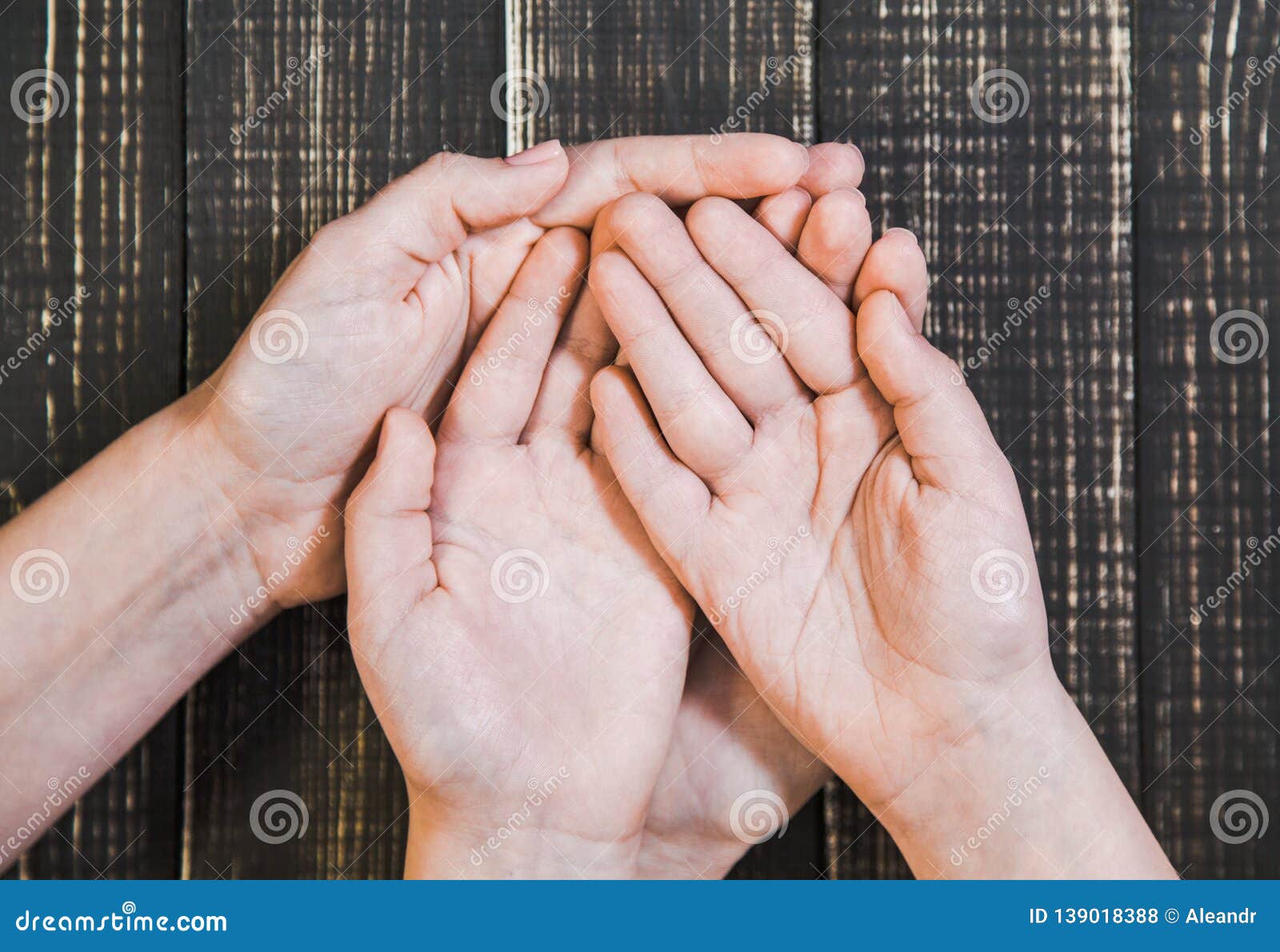 Top View of Opened Palms of Happy Family Stock Photo - Image of charity ... Top View of Opened Palms of Happy Family Stock Photo - Image of charity ...