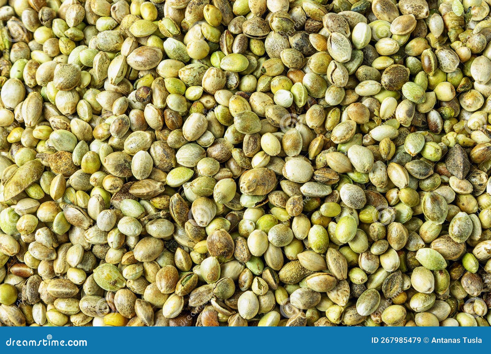 Top View of Organic Dried Hemp Seed Stock Image - Image of product ...