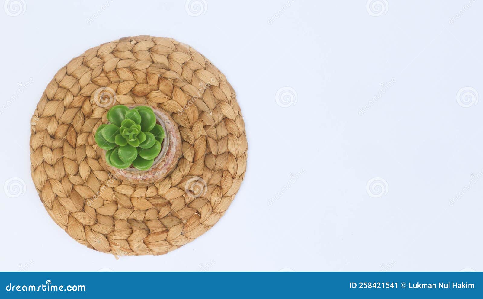 Top View Ornamental Plants on a Rattan Woven Circle Base Stock Image ...