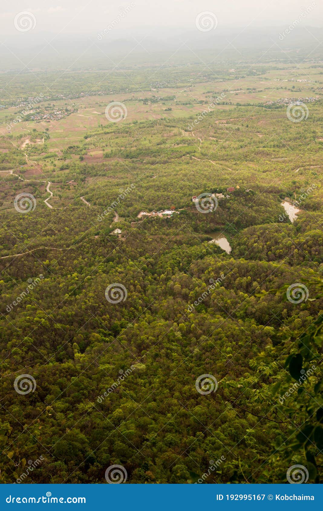 Top view of Pan city stock image. Image of street, field - 192995167