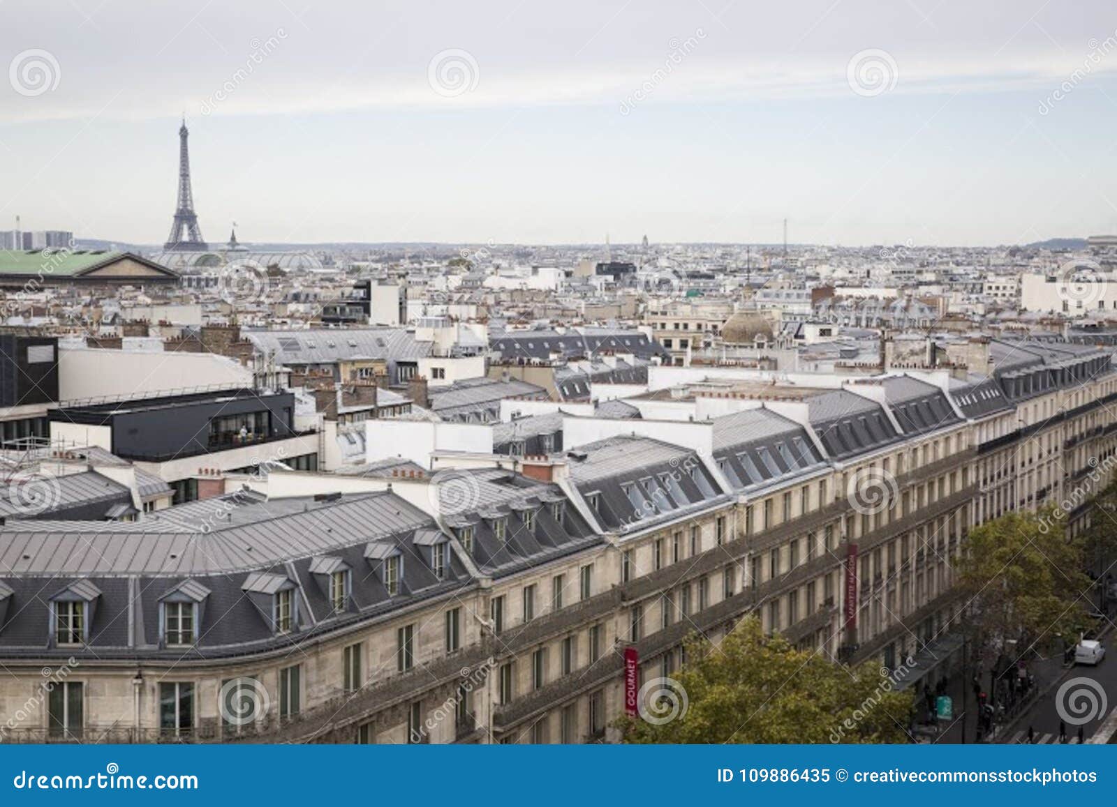 Top View Of Paris City And Eiffel Tower Picture. Image: 109886435