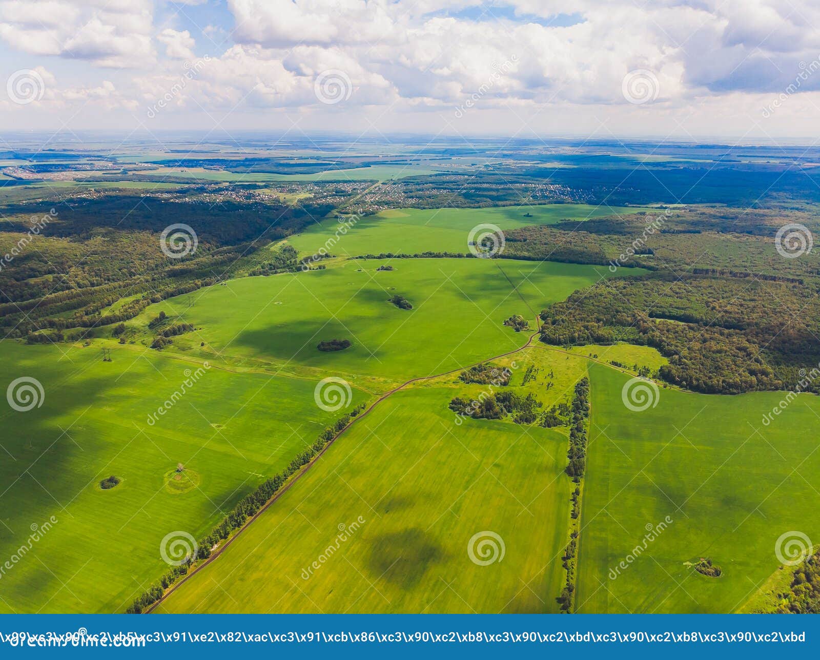 Top View of Park, Natural Grass Texture. Stock Photo - Image of park ...