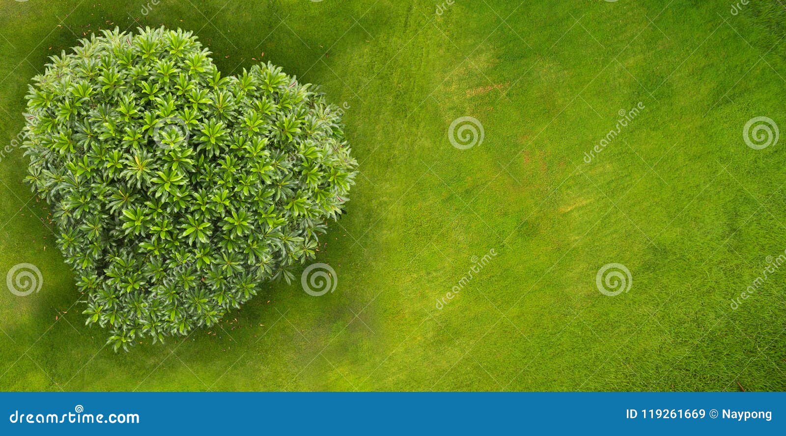 Top view of park with tree stock image. Image of mountain - 119261669