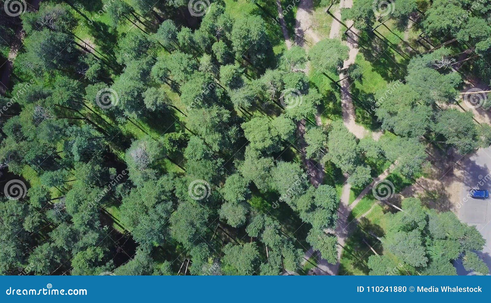 Top View of the Path through the Trees. Clip Stock Photo - Image of ...