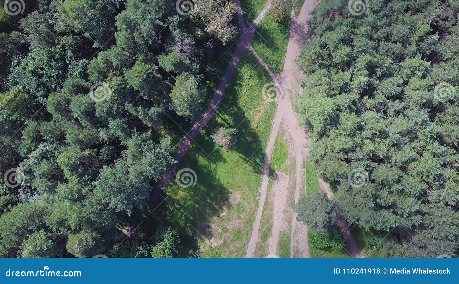 Top View of the Path through the Trees. Clip Stock Photo - Image of ...