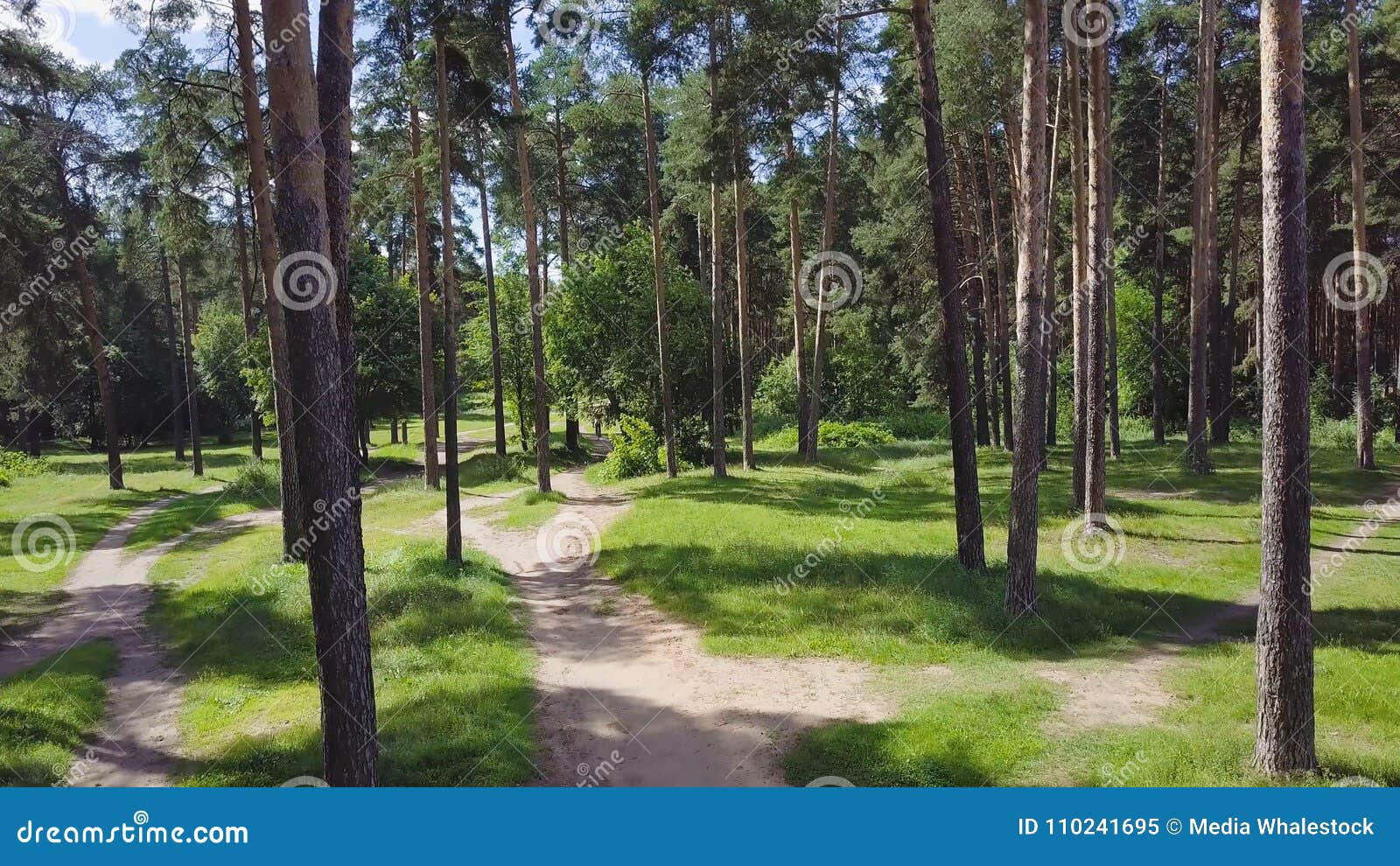 Top View of the Path through the Trees. Clip Stock Image - Image of ...