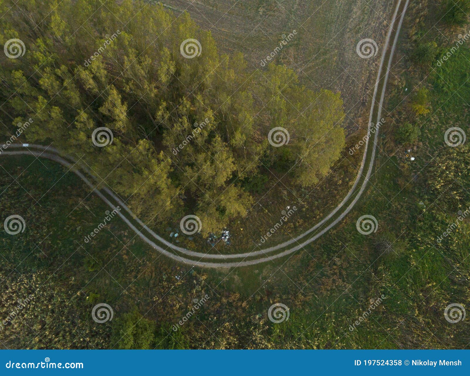 Top View of the Path through the Trees. View from Drone Stock Photo ...
