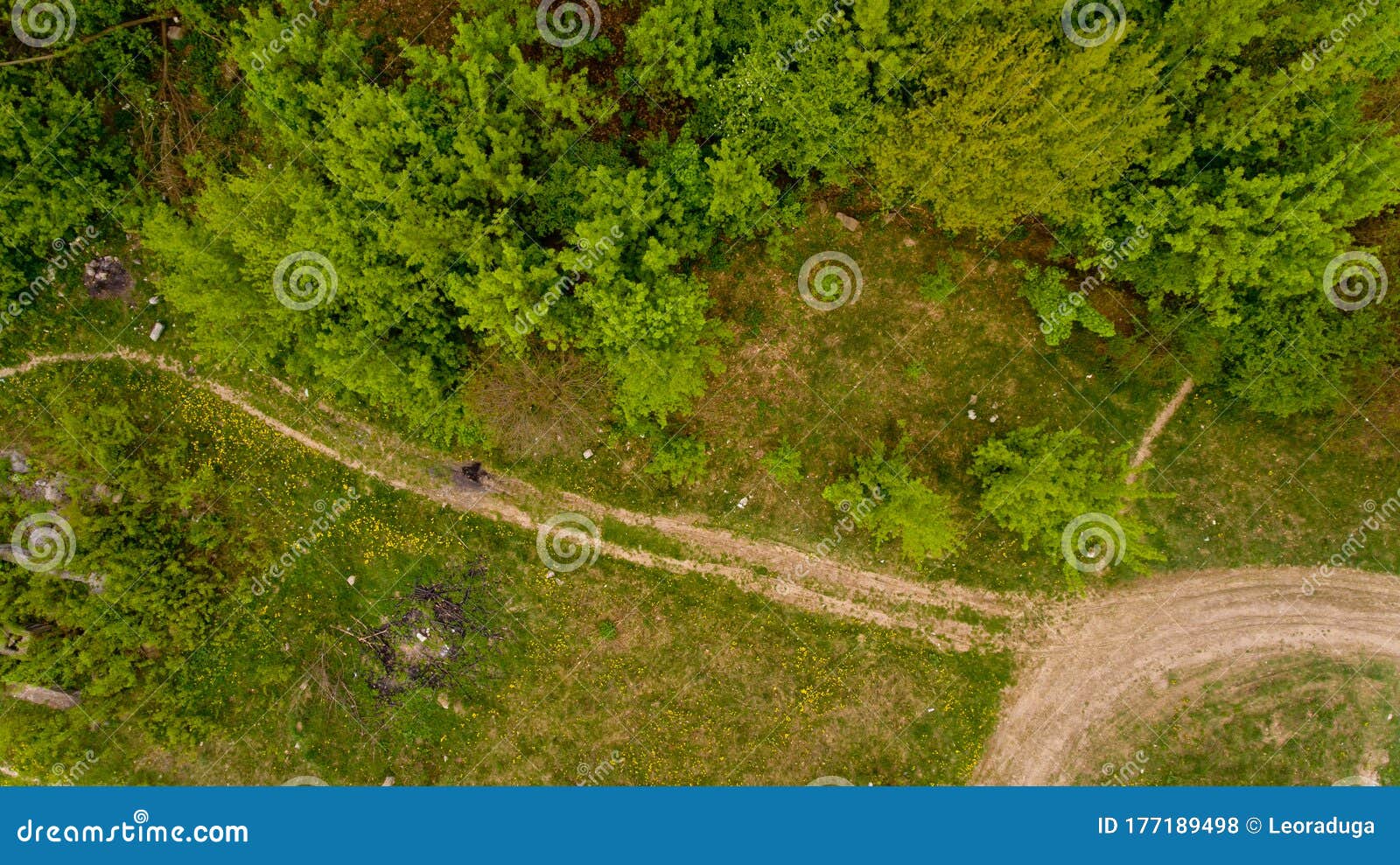 Top View of Path in the Woods. Stock Photo - Image of landscape, path ...
