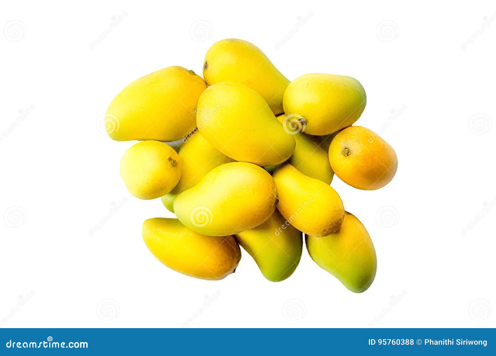 Top View and Pattern of Mango Fruit Stock Photo - Image of object ...