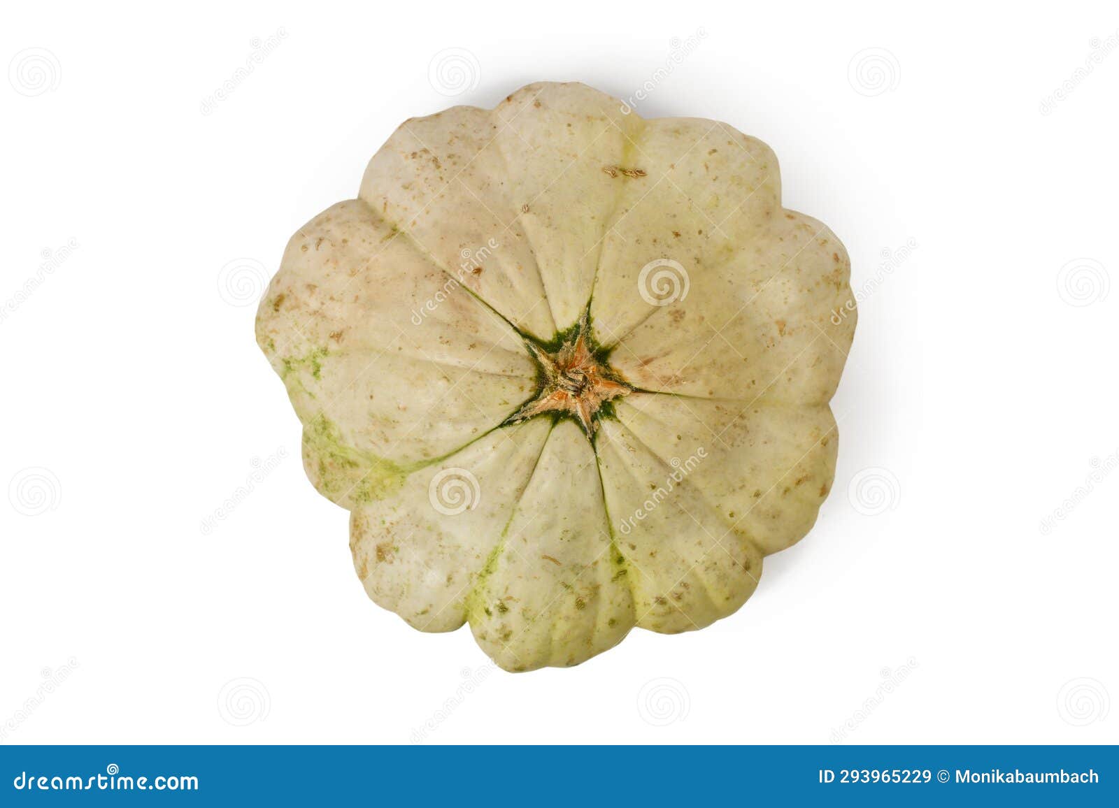 Top View of Pattypan Squash with Round and Shallow Shape and Scalloped ...