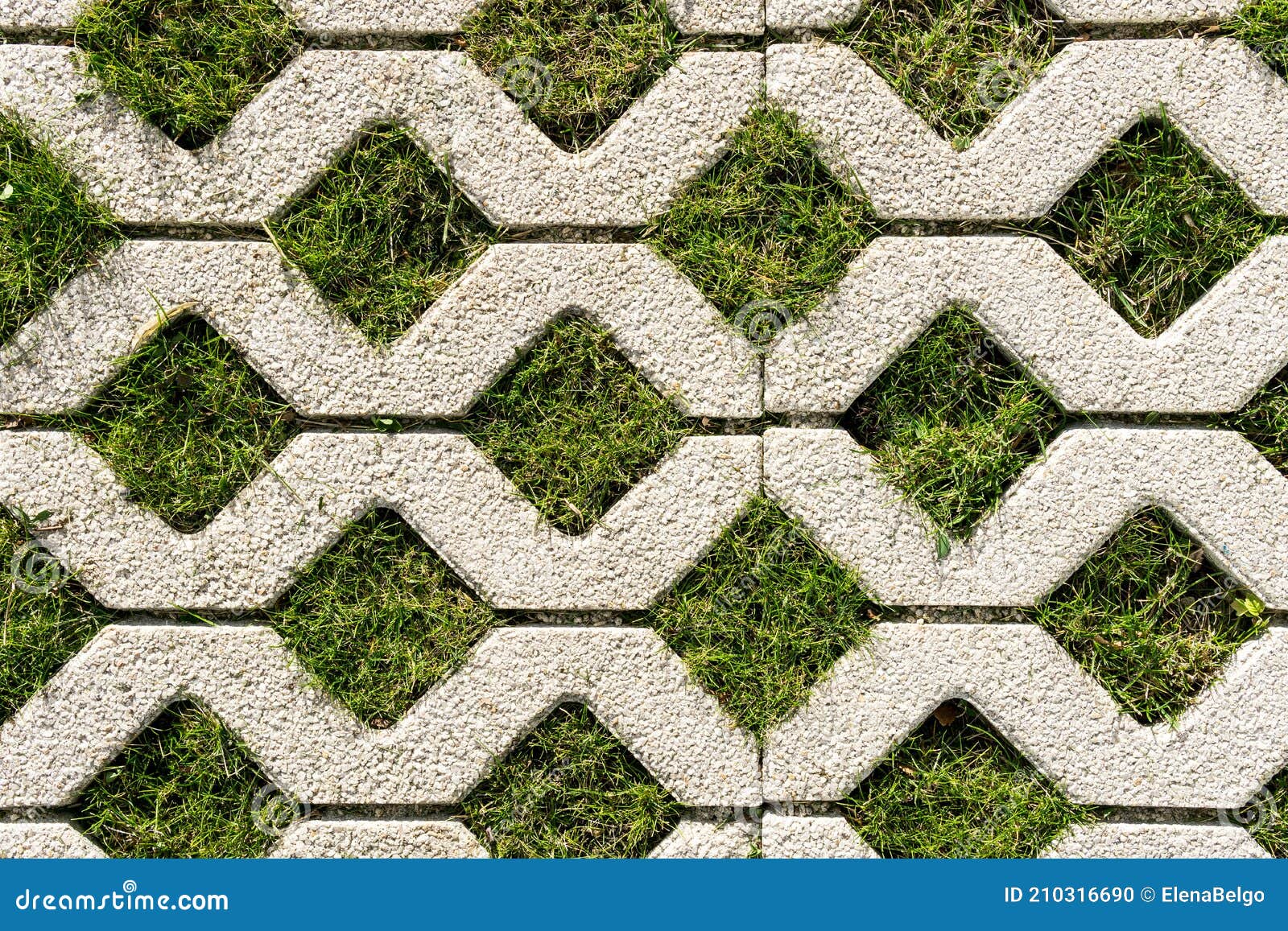 Top View of Paving Slabs with Grass Sprouting through Them. Stock Photo ...