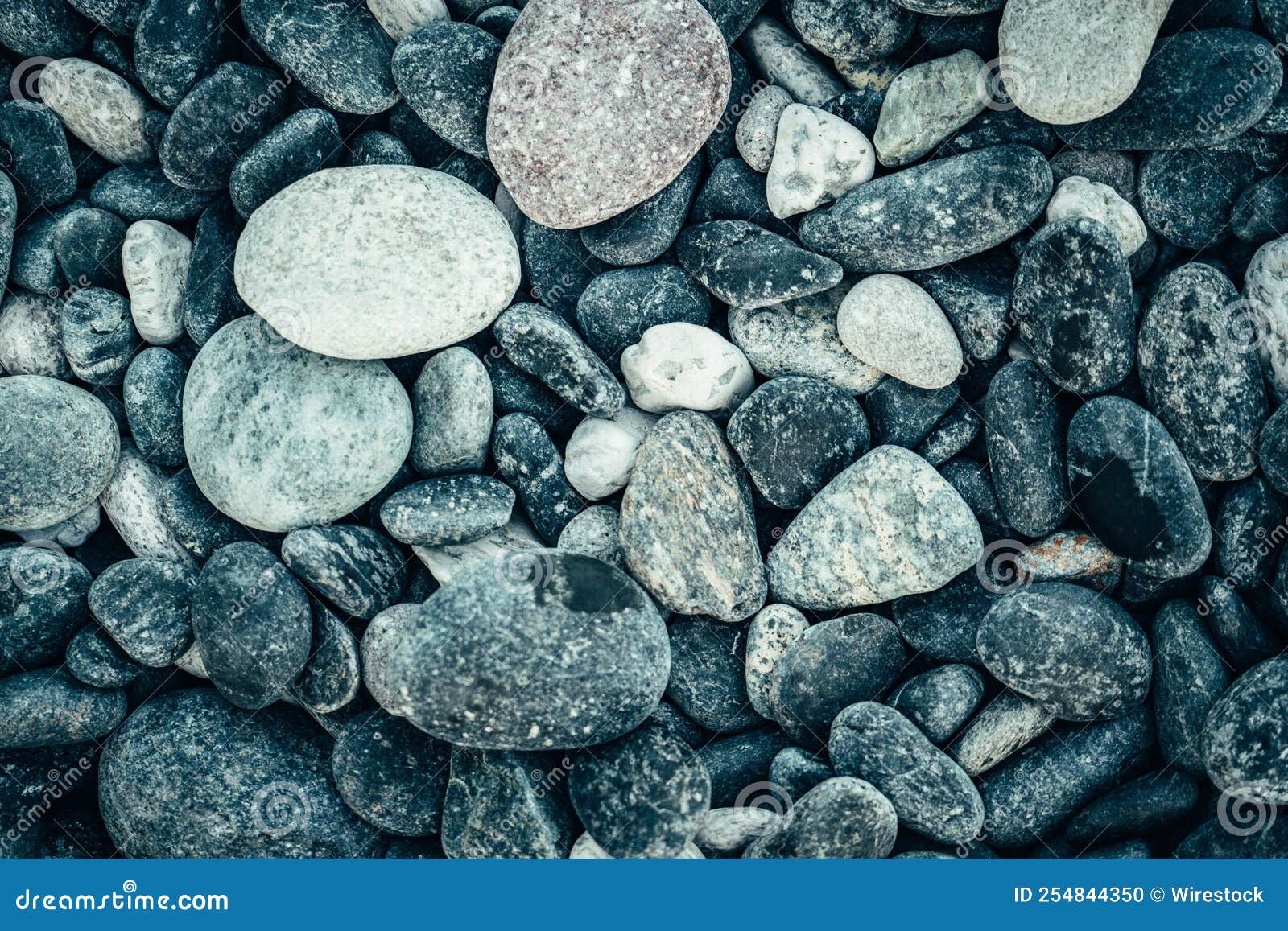 Top View of Pebbles at the Beach Stock Photo - Image of view, natural ...