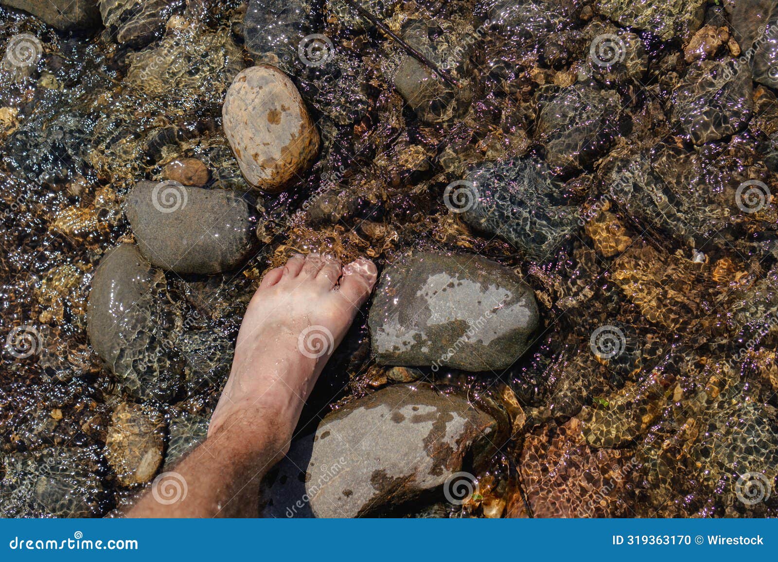 Top View of a Person& X27;s Foot Standing on Rocks in a Stream Stock ...