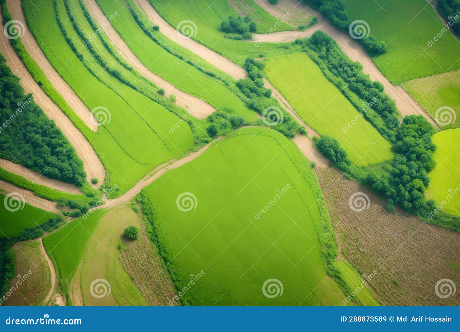 Top View Photography of Green Fields with Trees and a Path Generated by ...
