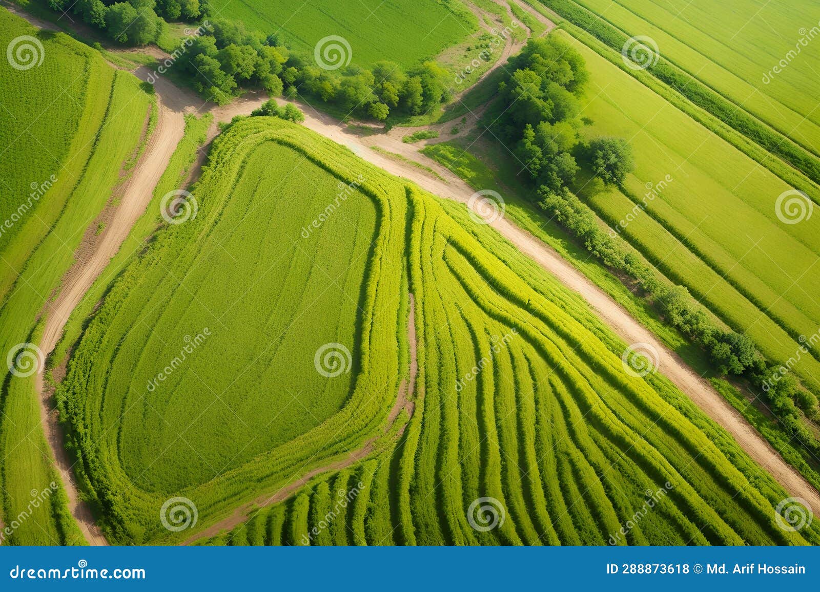 Top View Photography of Green Fields with Trees and a Path Generated by ...