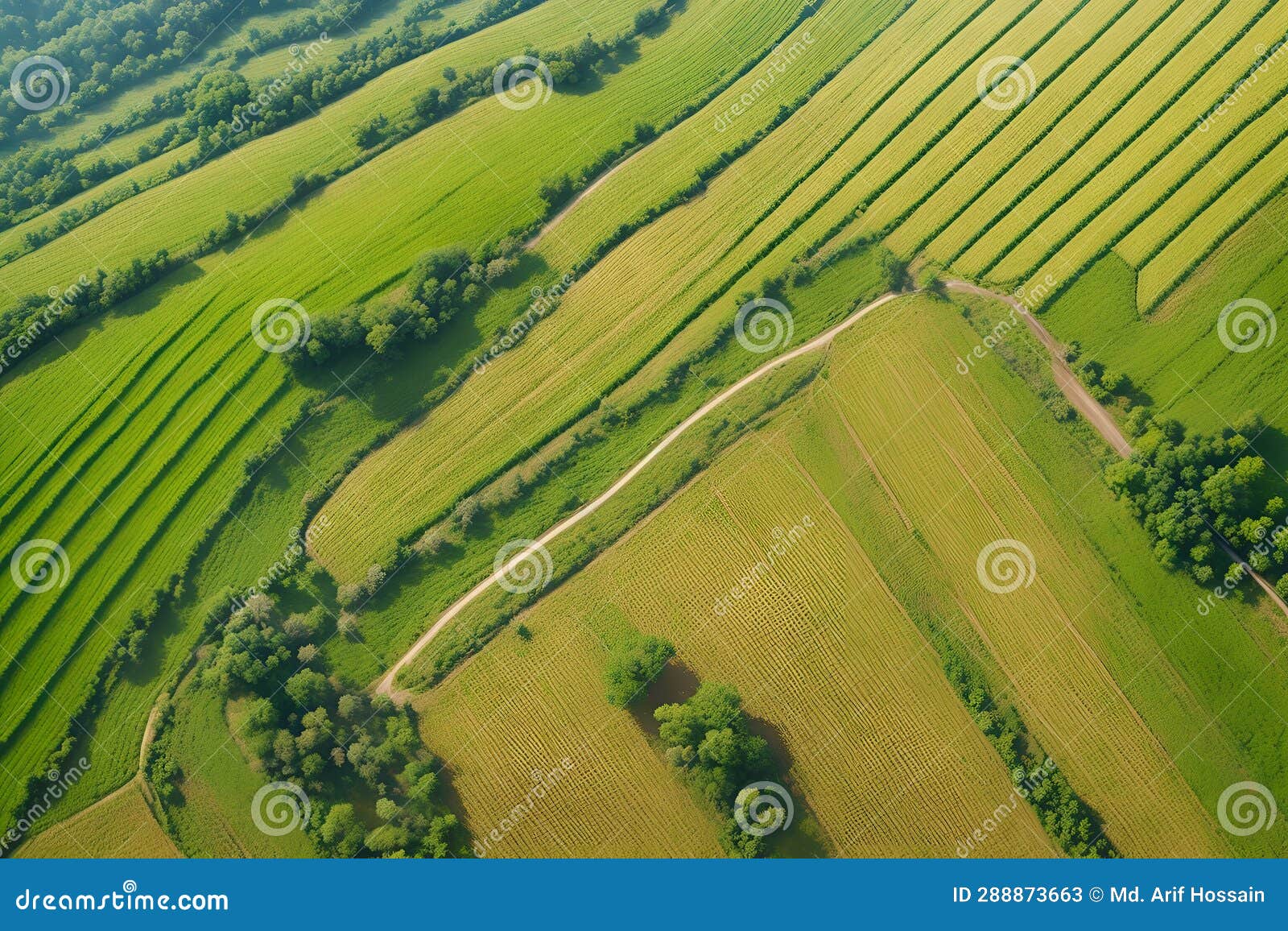 Top View Photography of Green Fields with Trees and a Path Generated by ...